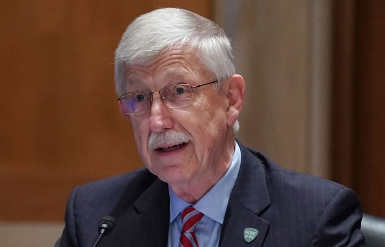 Emily Alpert Reyes | The Seattle Times