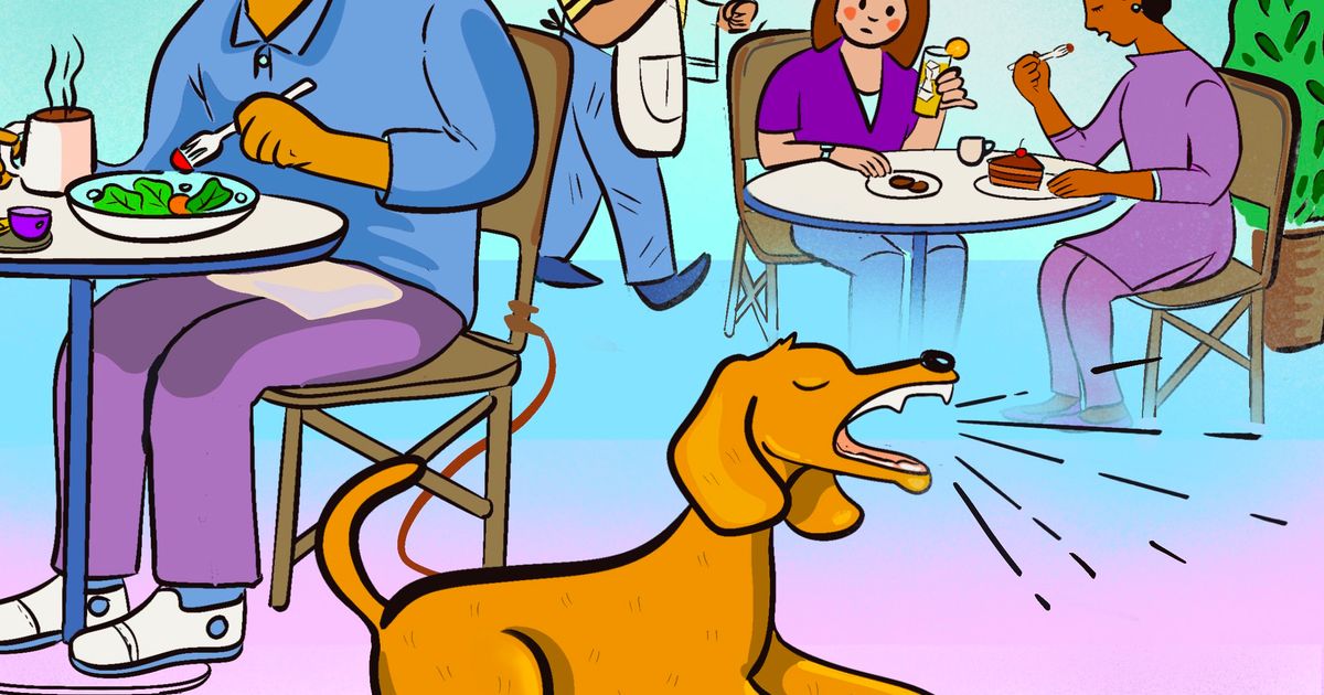 Rant & Rave: Barking dog at restaurant would be happier at home | The ...