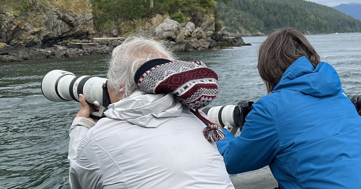 How to go birding by boat in Western Washington | The Seattle Times