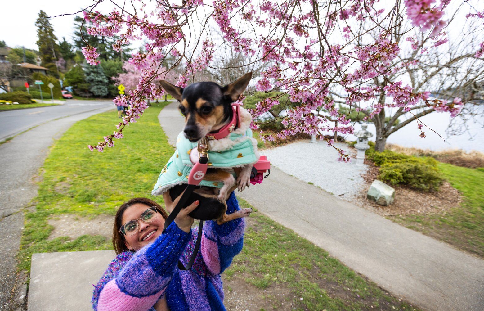 It’s the first day of spring: Here’s what that really means | The ...