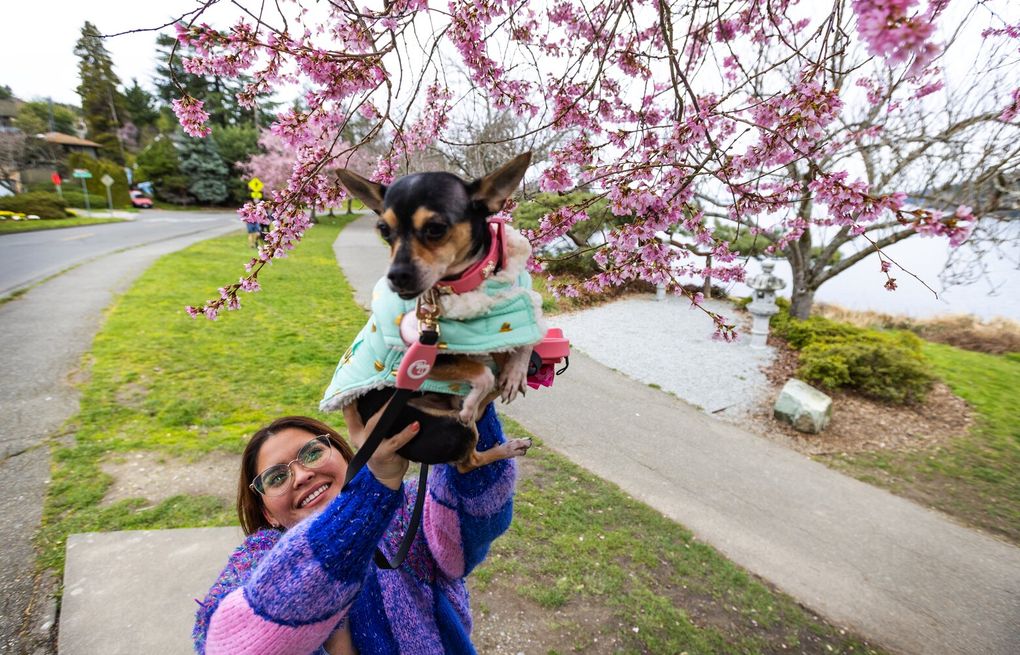 It’s the first day of spring: Here’s what that really means | The ...