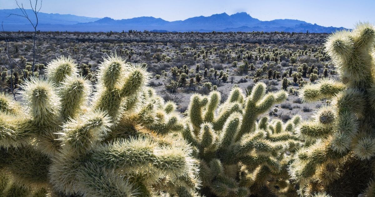 Biden creates national monuments in Nevada, Texas mountains | The ...