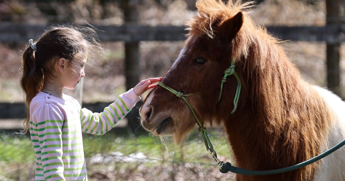 Farm Skills for Girls classes in Woodinville spark lessons for life ...