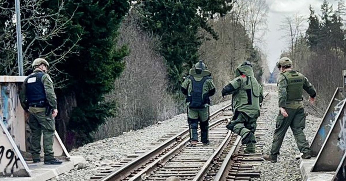 Man with grenade had threatened former co-workers before he was shot ...