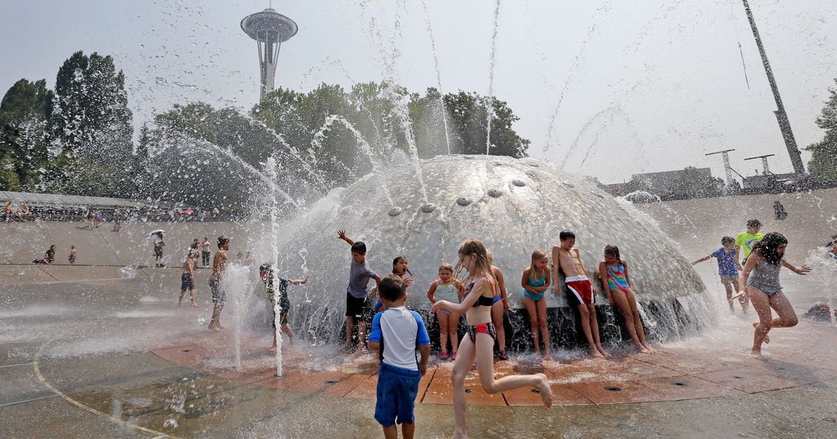 Children can teach us to appreciate the wonder around us | The Seattle ...