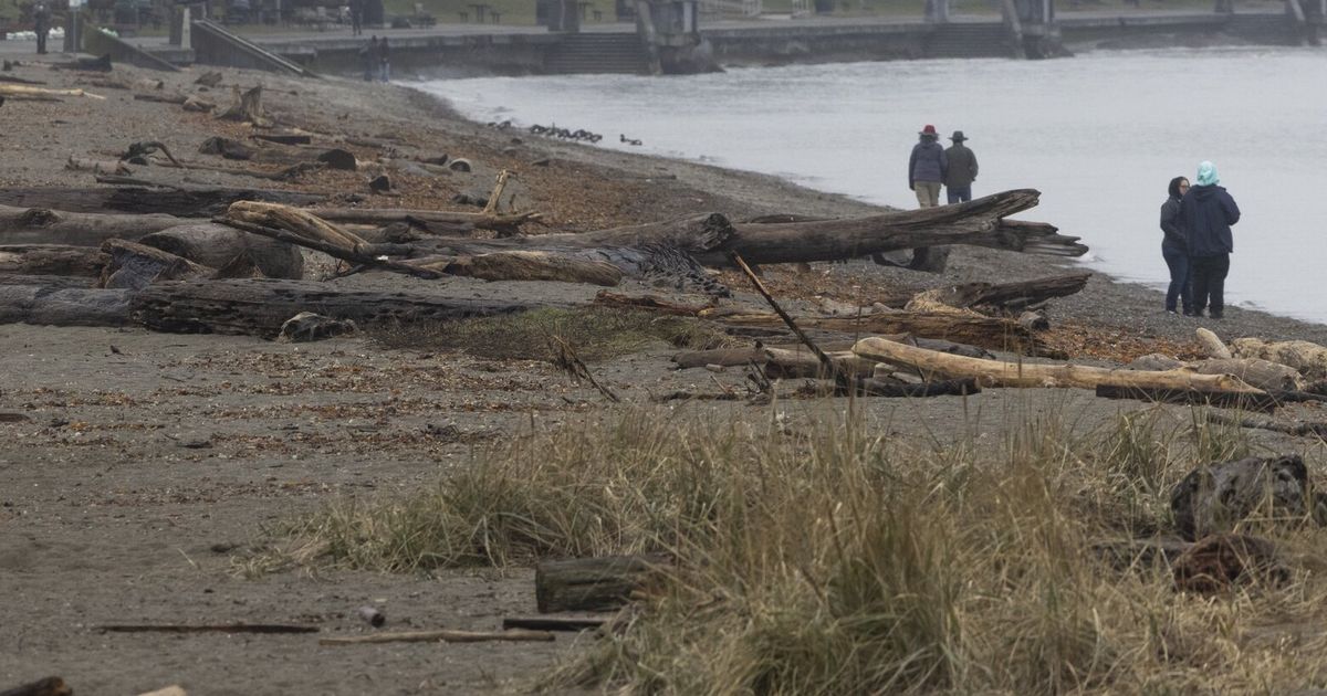 Seattle weather forecast: Scattered showers and a chance of hail | The ...