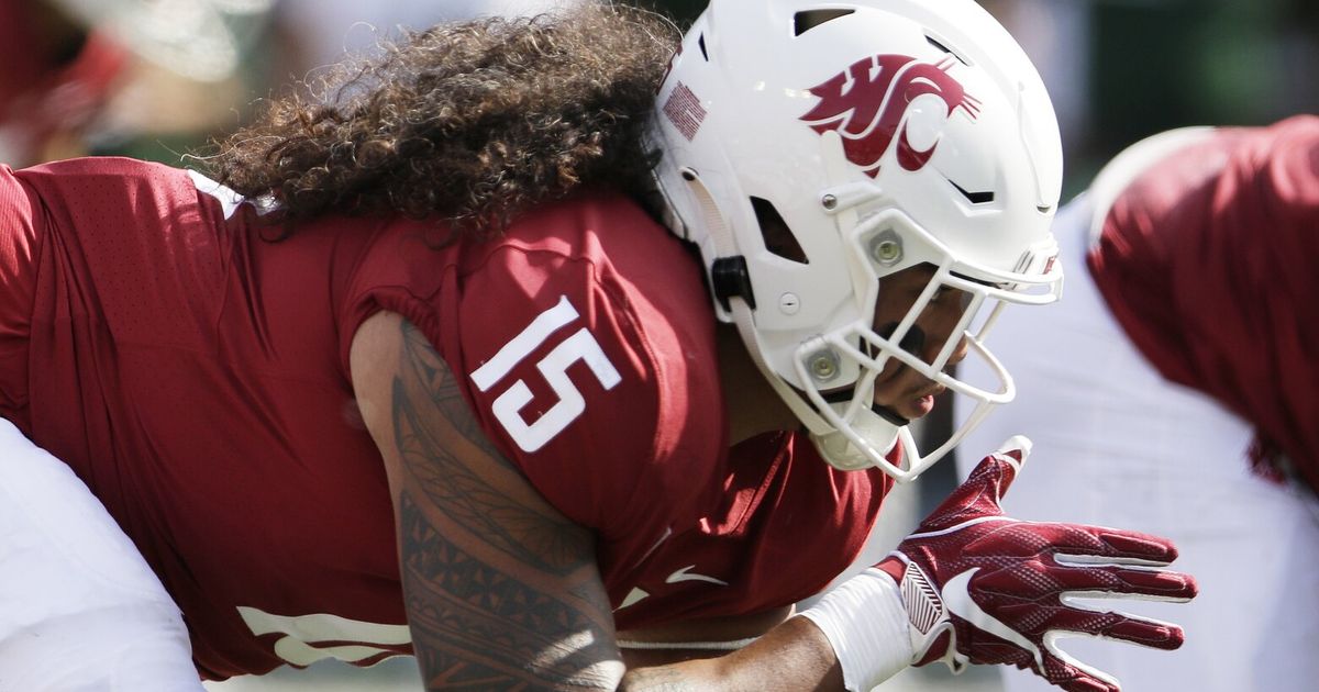 WSU Cougars have a new look this spring at defensive tackle | The ...