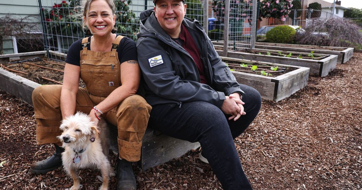 Your stories about Seattle’s P-Patch gardens: spaces for love ...