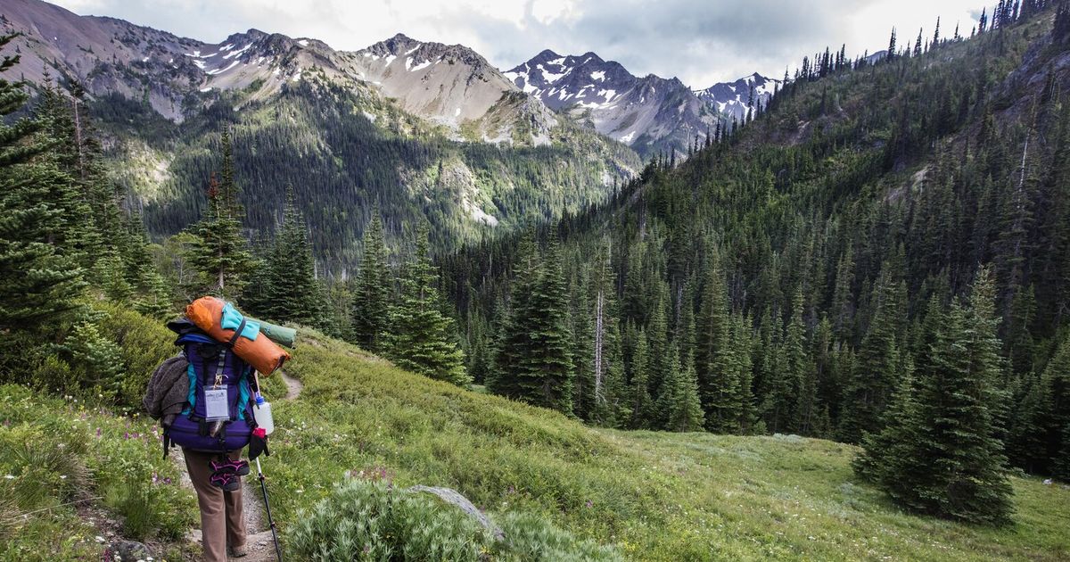 Free admission to national parks and WA state parks on Saturday | The ...
