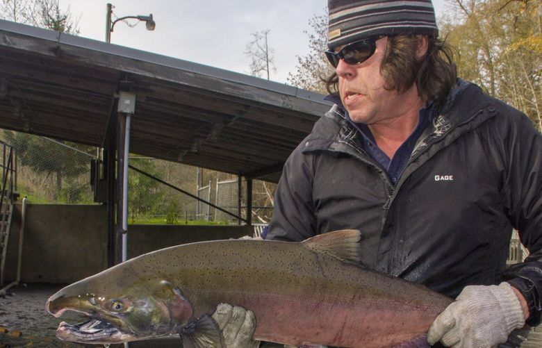 Things to know about the Klamath River dam removal project, the largest ...