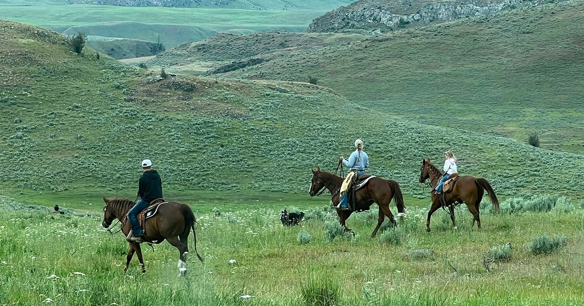 Wide-open spaces, for cattle and outdoor enthusiasts | The Seattle Times
