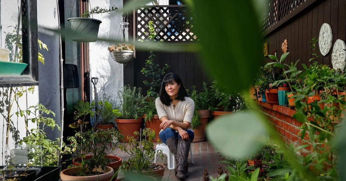 She created a native plant garden without a yard, and you can too | The ...