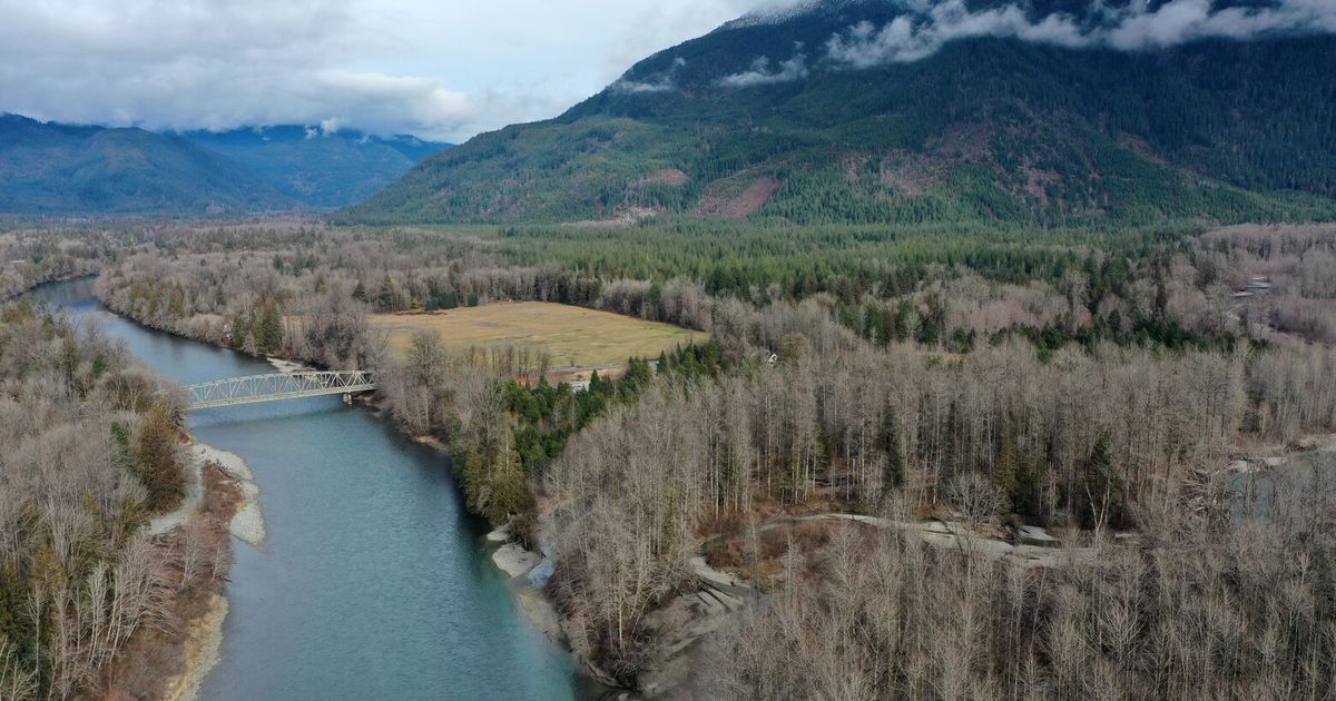 Seattle City Light could truck endangered fish around its Skagit River ...