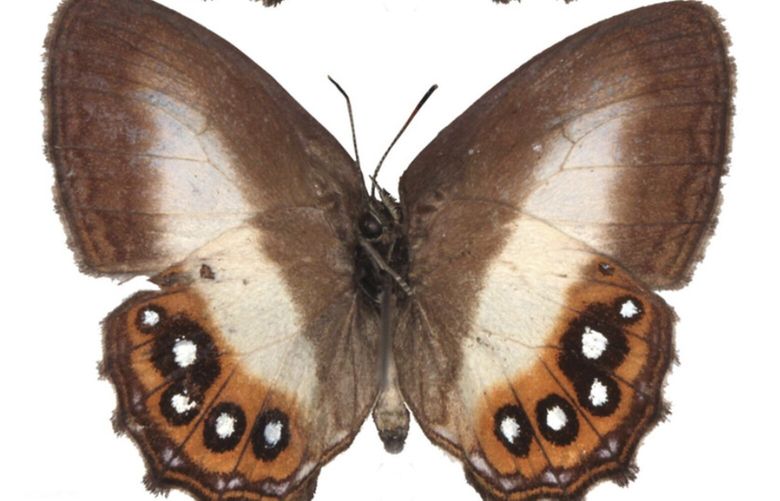 Chris Stanford | The Seattle Times