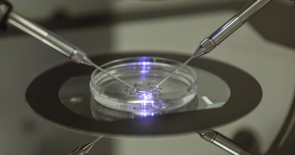 1st babies born in Britain using DNA from 3 people | The Seattle Times