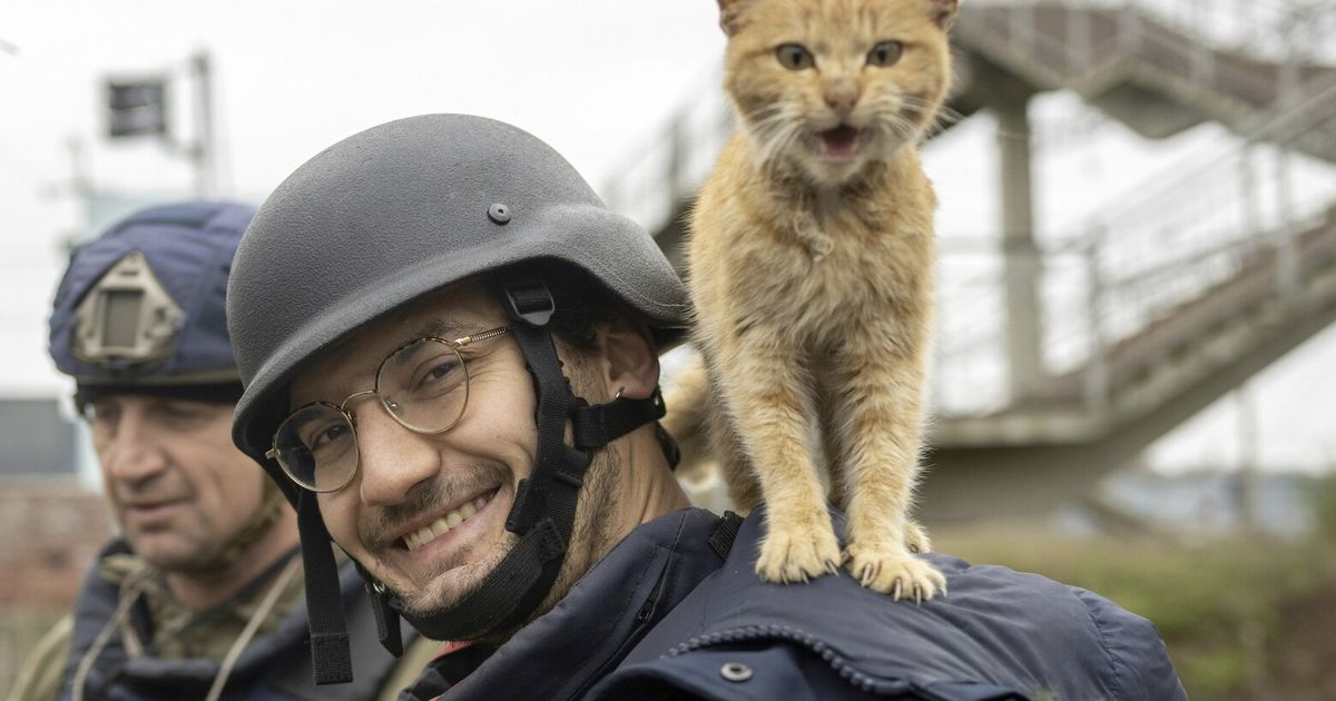 Tributes pour in for AFP journalist killed in Ukraine | The Seattle Times