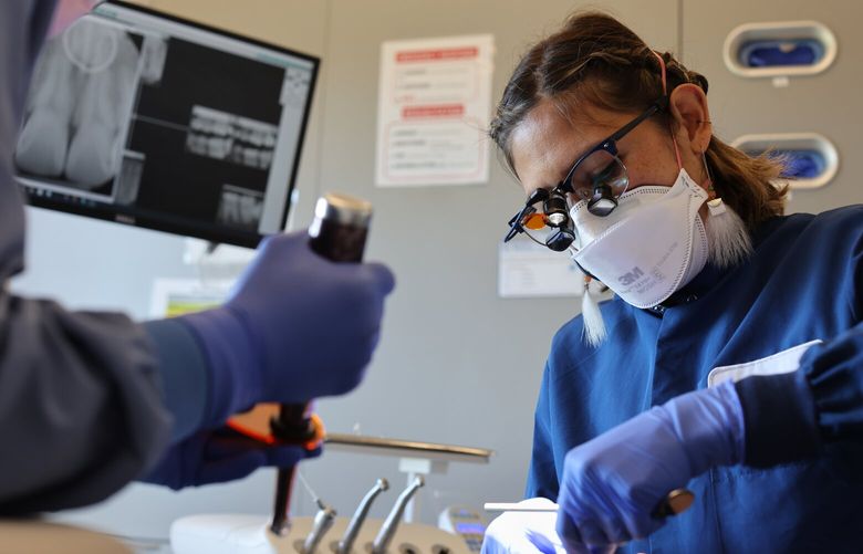 Elise Takahama | The Seattle Times