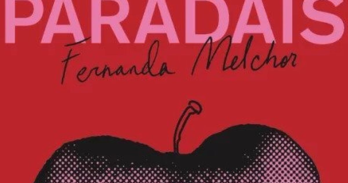 If you like Colleen Hoover, try these 4 books from other authors | The ...