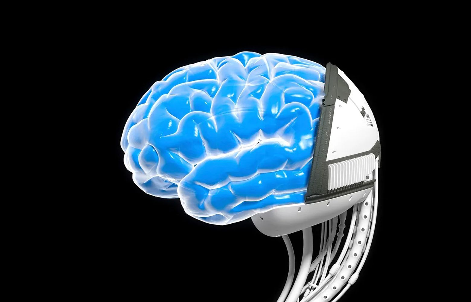 Cade Metz | The Seattle Times