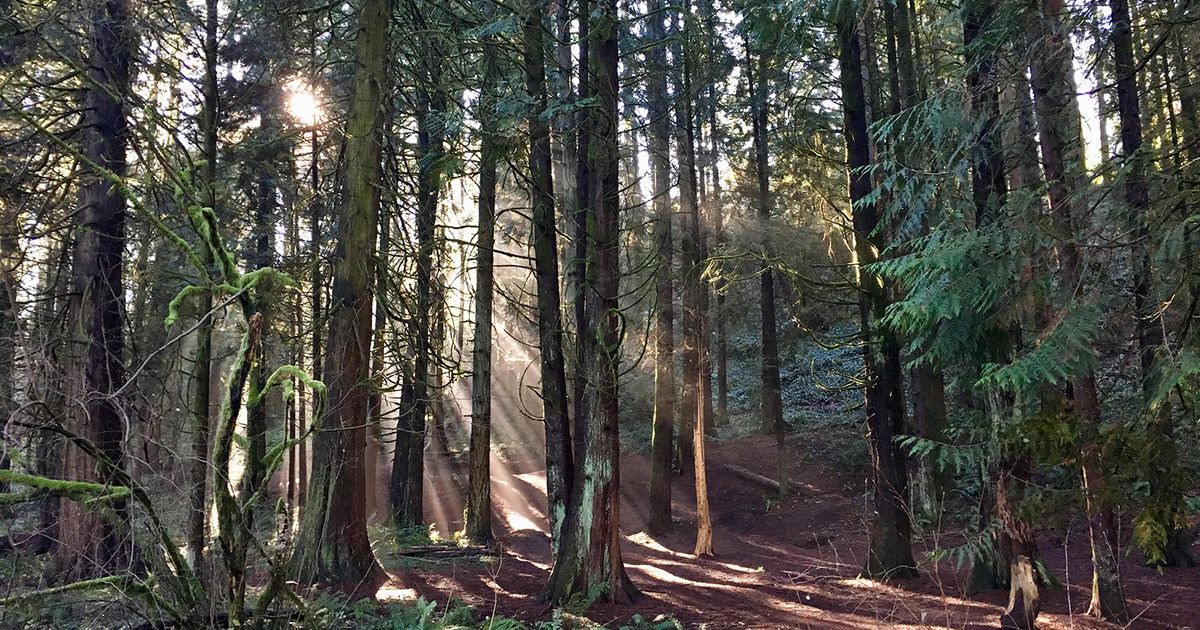 Outdoor family fun awaits in Vancouver, WA | The Seattle Times