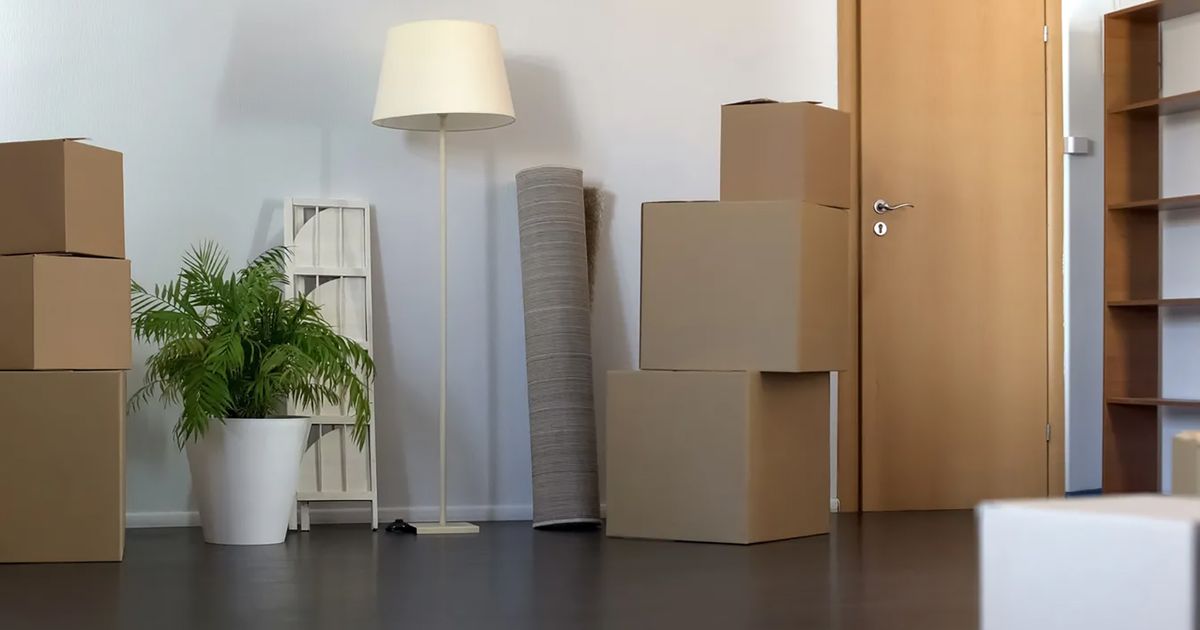 Design Recipes: 9 tips to make a spring move less stressful | The ...