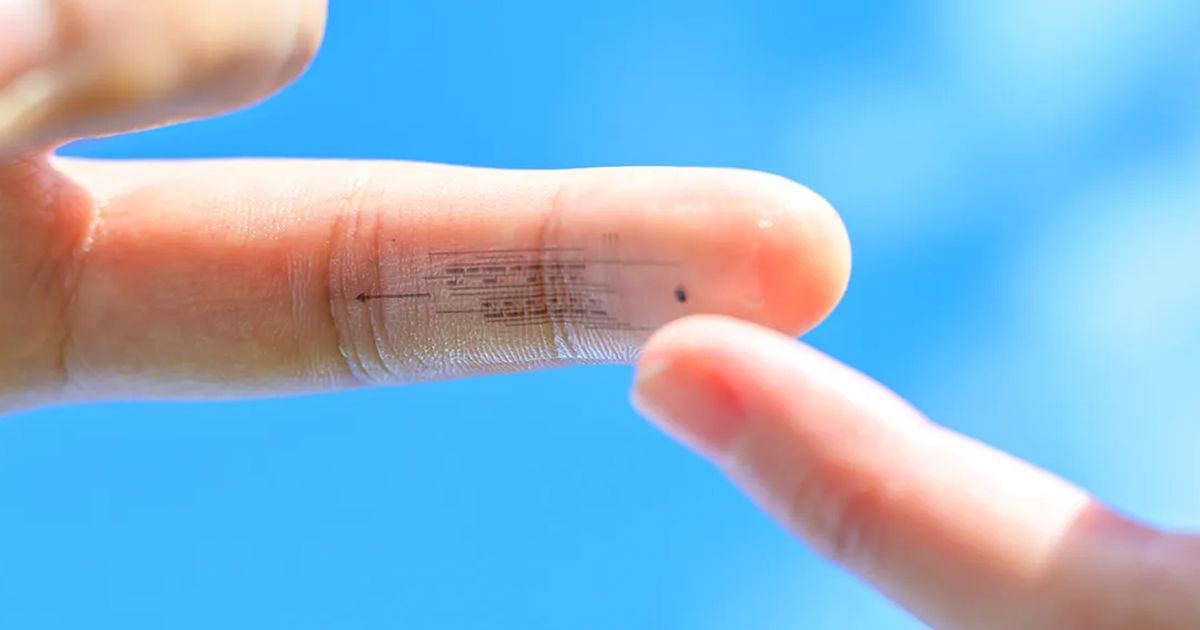 Stanford team makes electronic skin that can sense touch | The Seattle ...