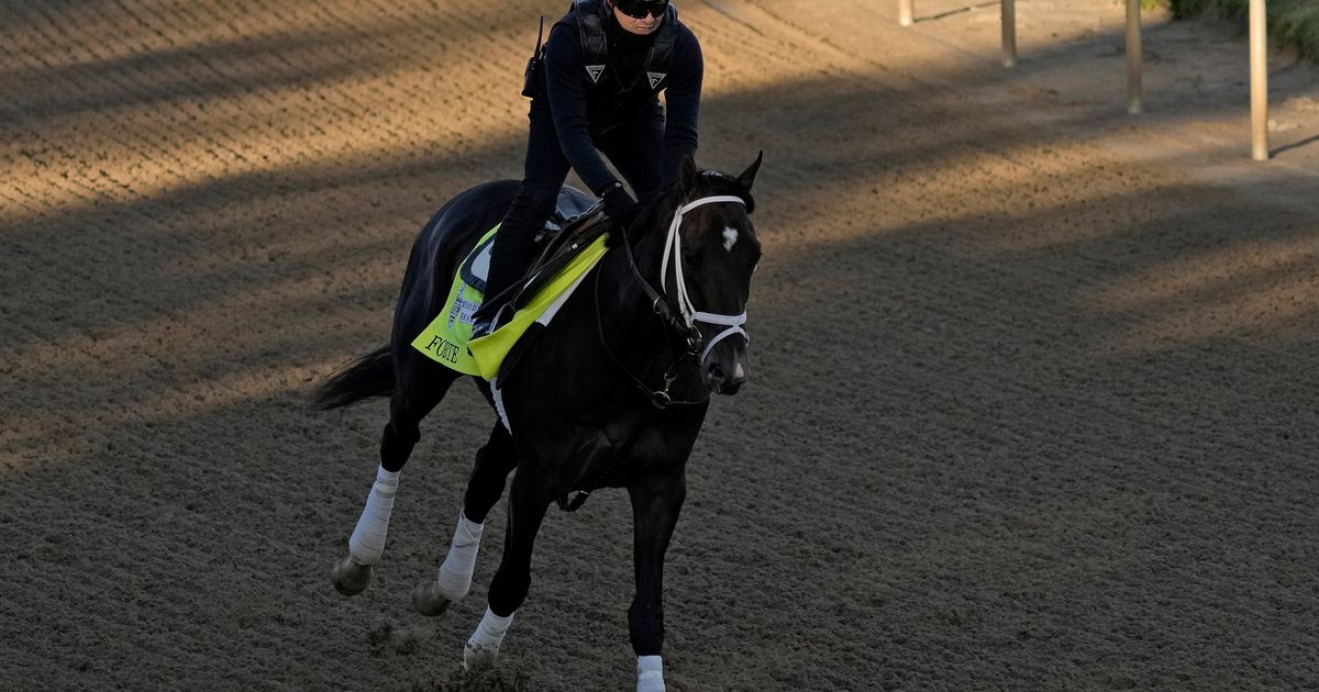 Forte, Derma Sotogake among Kentucky Derby horses to watch | The ...