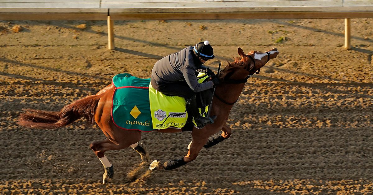 19 horses to tangle in wide-open 149th Kentucky Derby | The Seattle Times