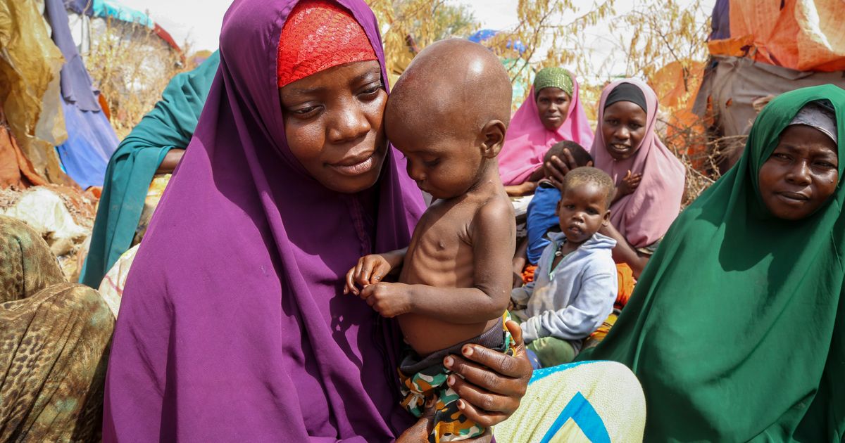 UN: 258 million people faced acute food insecurity in 2022 | The ...