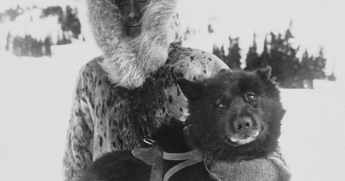 Zoonomia: Genetic research reveals all we share with animals | The ...