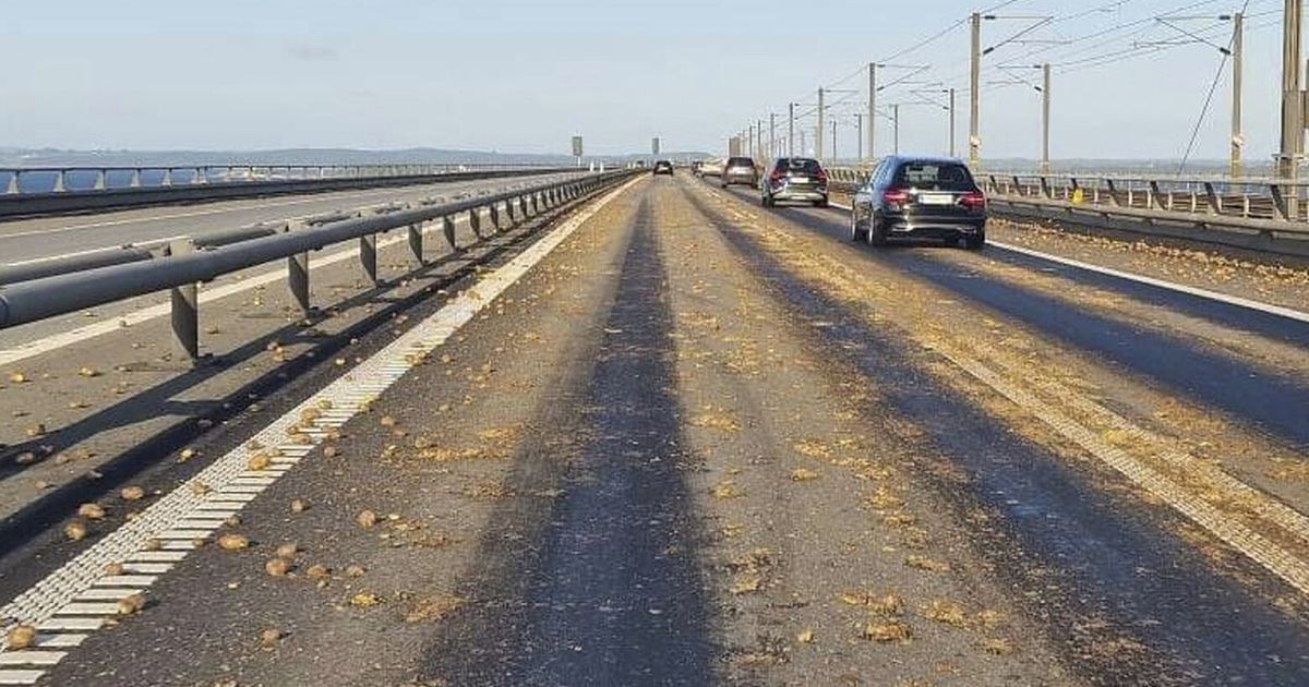 In Denmark, potatoes on key bridge cause havoc | The Seattle Times