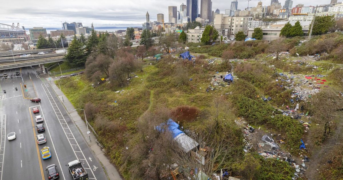 Here’s how you and I likely contributed to homelessness in Seattle ...