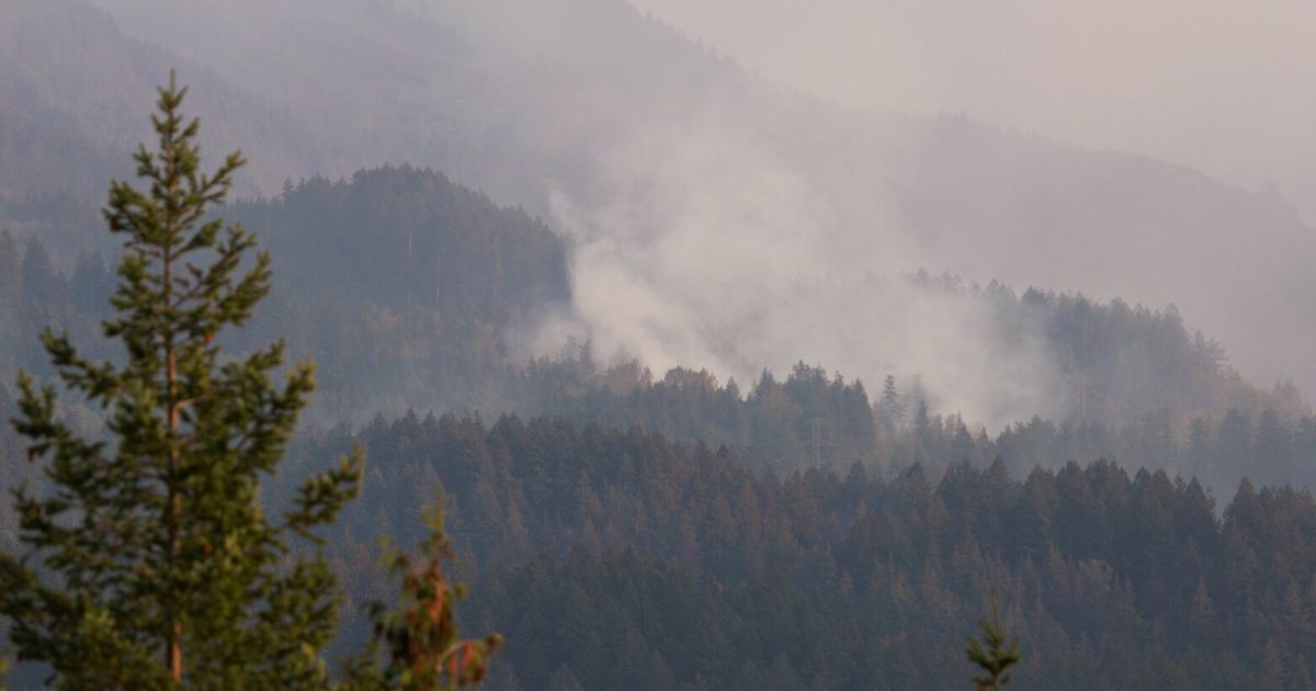 Don’t accept a future of mega-wildfires: Here are 5 high-impact ...