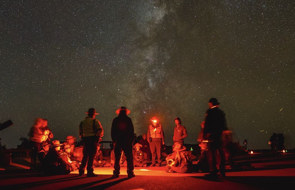 People Looking At The Stars