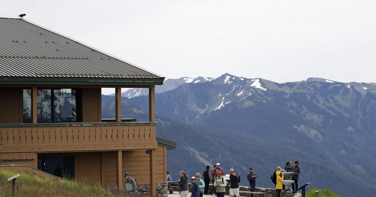 Hurricane Ridge to reopen after lodge fire | The Seattle Times