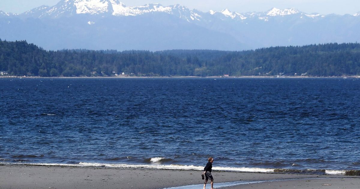 What’s the best beach in Seattle? We want your vote | The Seattle Times