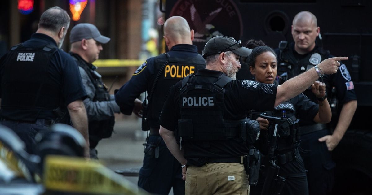 One in custody after police respond to reports of armed person in ...