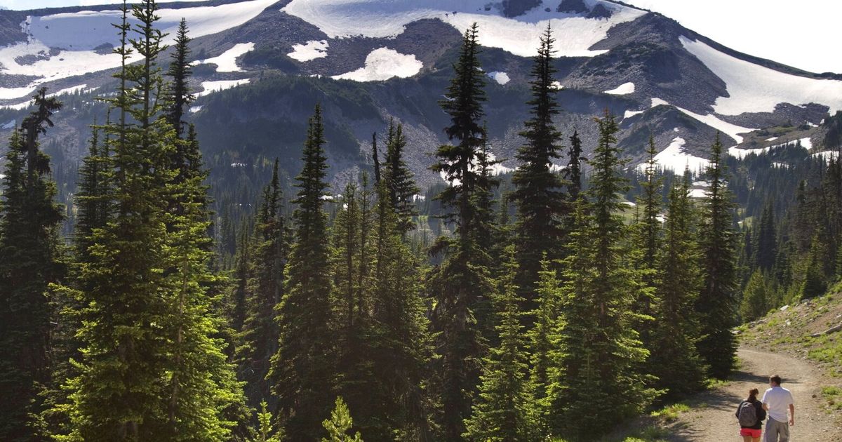 Road to Sunrise at Mount Rainier set to reopen Saturday | The Seattle Times