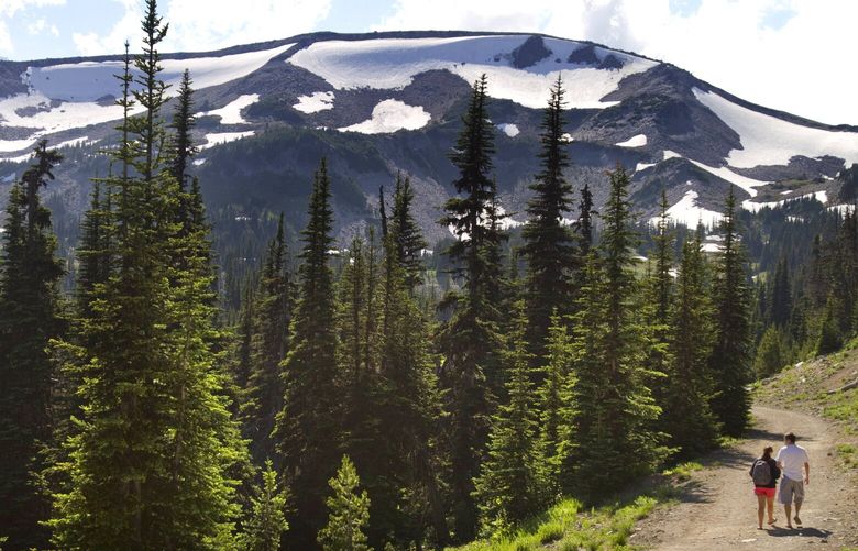 Filip Timotija | The Seattle Times