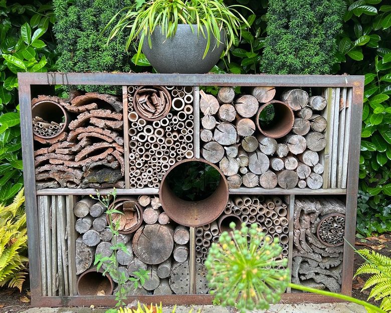 Building an Insect Hotel: A Fun and Eco-Friendly Project for Kids and ...