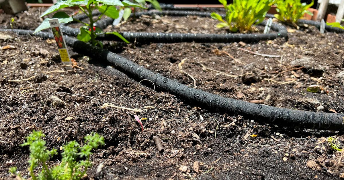A successful garden begins with the right watering practices | The ...