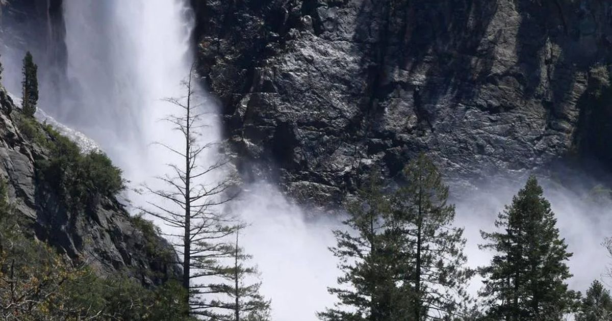 In Yosemite, falling tree branches kill a young hiker in ‘freak ...