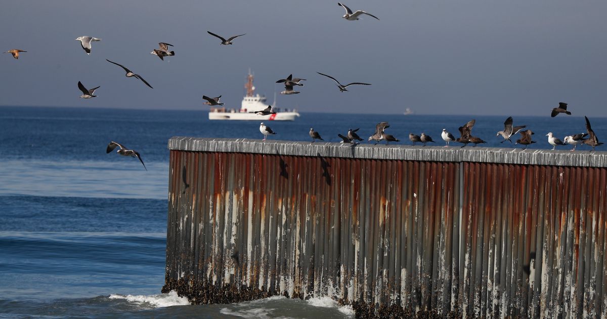 El Niño, not avian flu, caused the deaths of hundreds of birds in ...