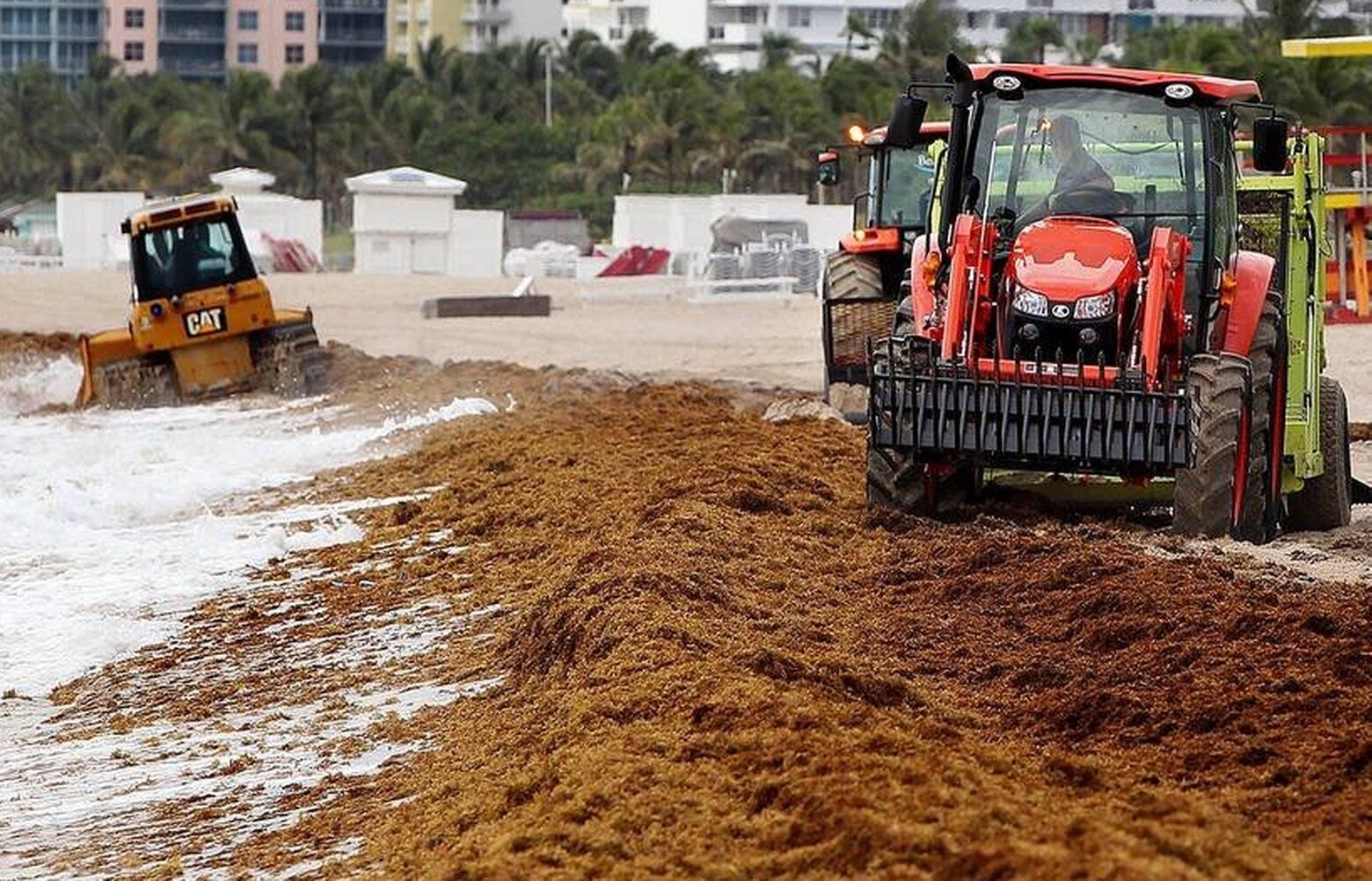 LIVIA ALBECK-RIPKA | The Seattle Times