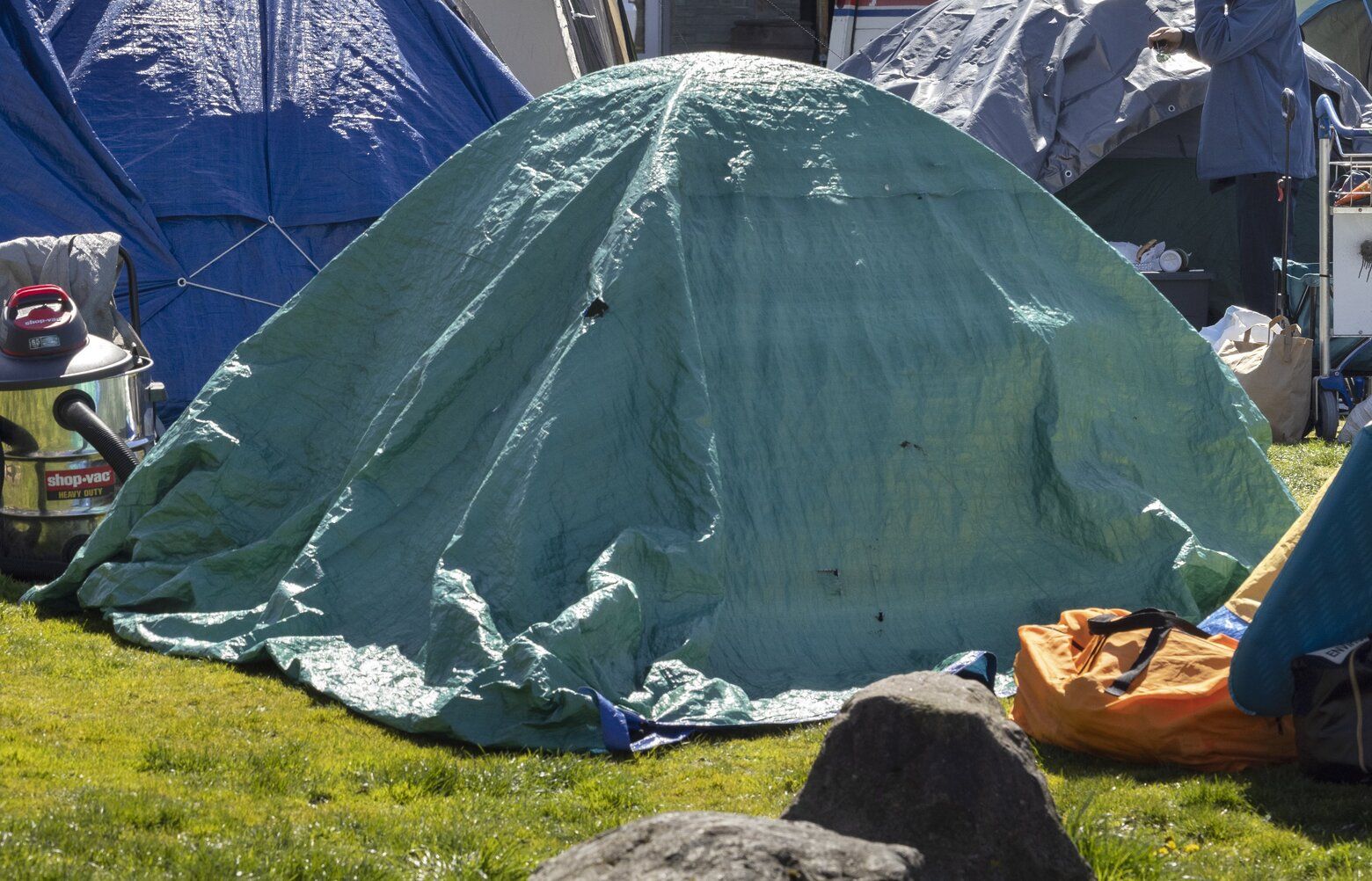 Greg Kim | The Seattle Times