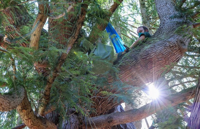 Isabella Breda | The Seattle Times