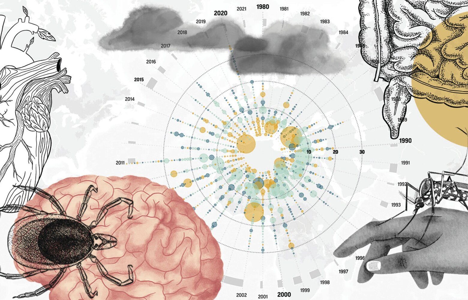 ZOYA TEIRSTEIN | The Seattle Times