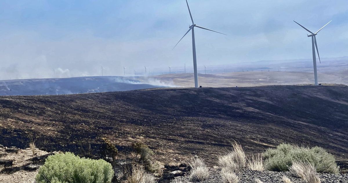 Newell Road fire 71% contained as evacuations continue | The Seattle Times