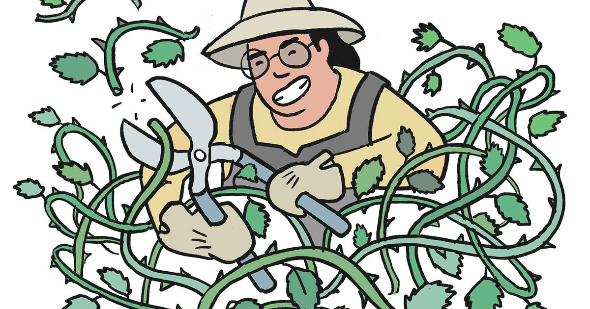 Rant & Rave: A thank you to gardeners and horticulturalists | The ...