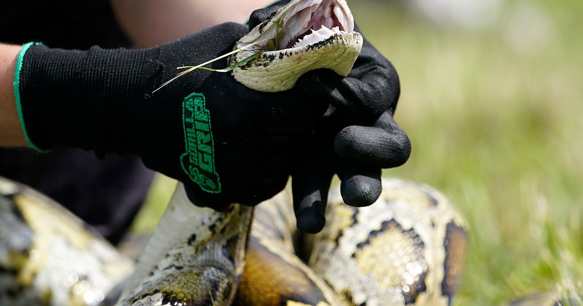 The animal kingdom is telling us it’s done with our selfishness | The ...